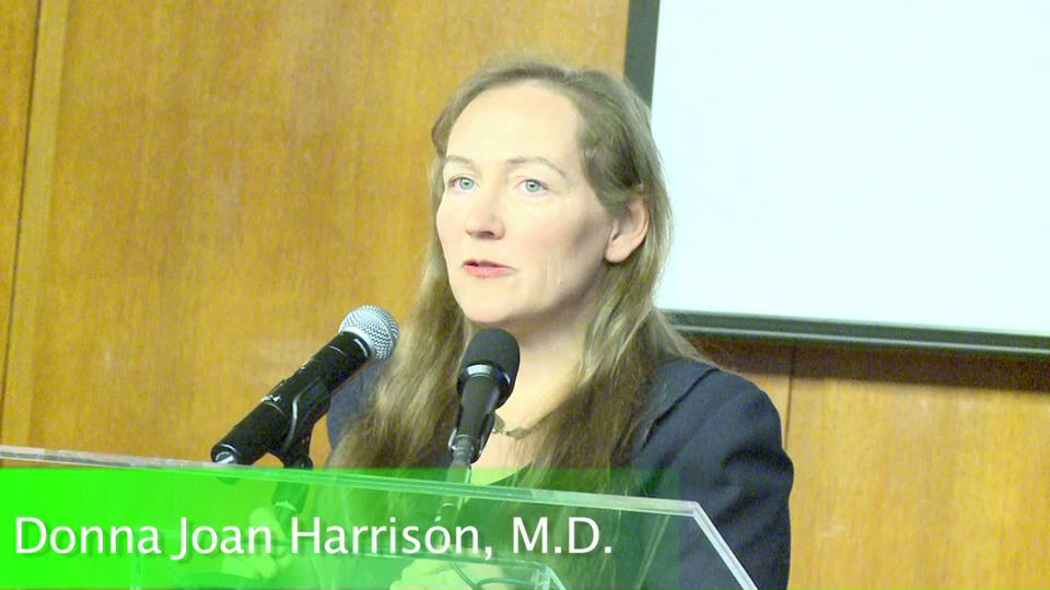 Protecting life in the case of ectopic pregnancy - Live Action News