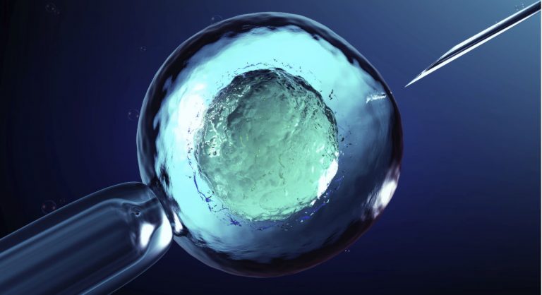 'No valid rationale': Scientists create monkey-human hybrid embryos