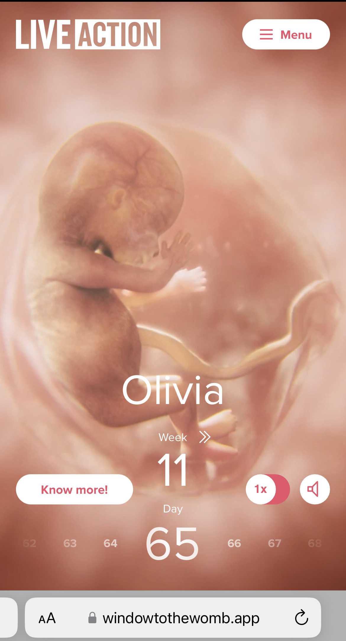 Live Action launches unprecedented interactive 'Window to the Womb' web app